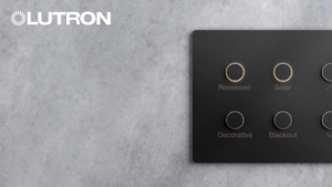 AVIT | Lutron Keypads for Smart Home Control